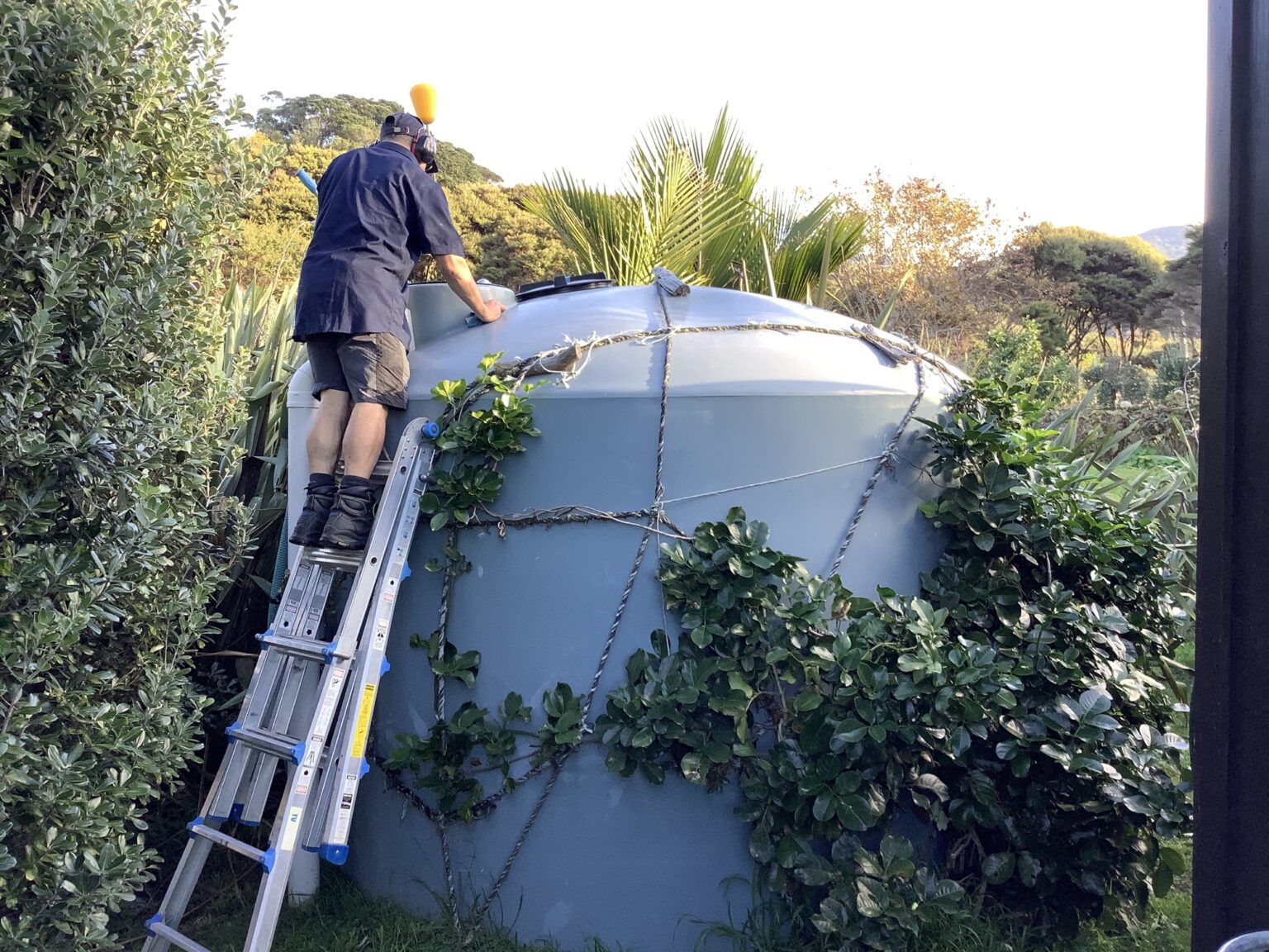Water Tanks 101: Your Beginner’s Guide to Clean, Safe Water | Safe H2O